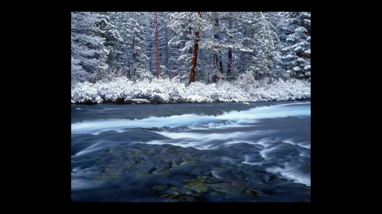 Gary Albertson Library Slideshow on Vimeo