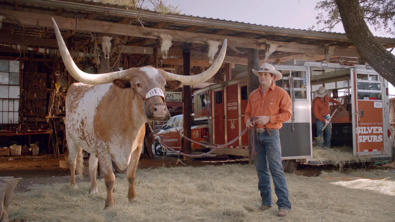LHN Marketing Launch Campaign BEVO :15 on Vimeo