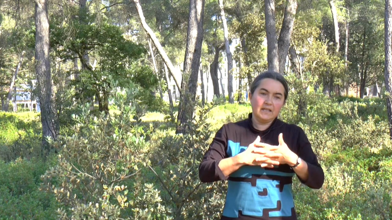 EcoMedit-14 Agrosystèmes, pressions, Alberte Bondeau on Vimeo