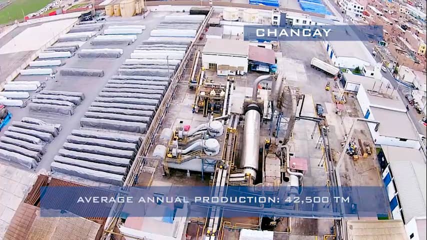 CHANCAY PLANT on Vimeo