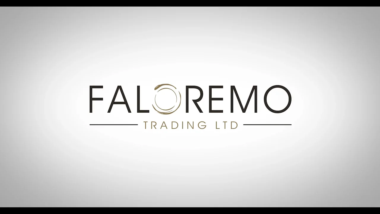 Faloremo Trading, induction video. on Vimeo