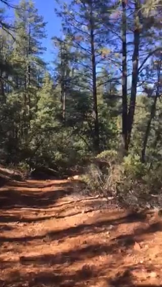 Mountains Roads near Pumpkin Center, AZ on Vimeo