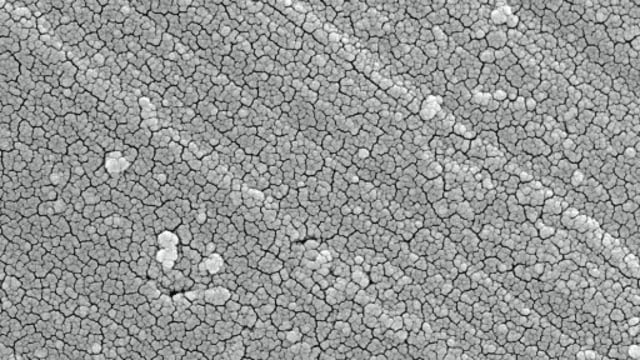 Artefacts in the SEM — Science Learning Hub