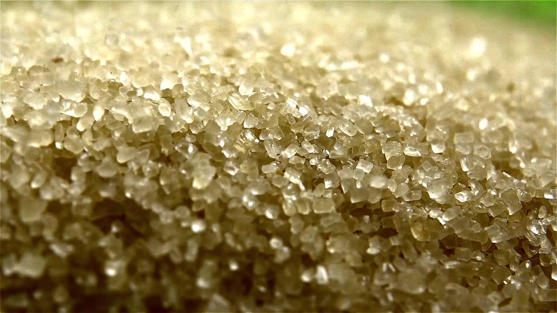 How Sugar is Made on Vimeo