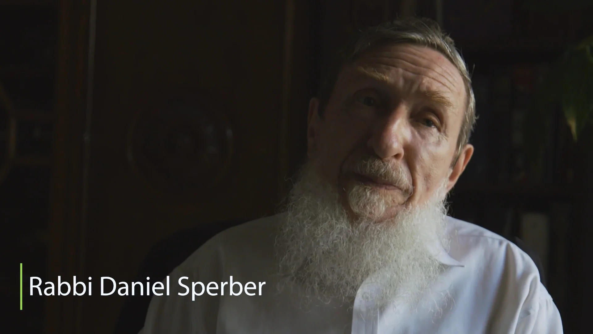 Honoring Rabbi Daniel Sperber on Vimeo