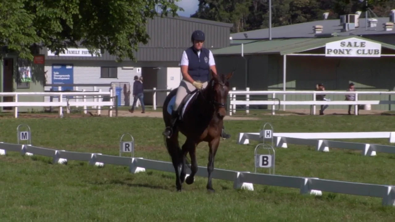 Kathryn Toomey / Ruby Rockstar - TTT Dressage 2015 - 4.6 - 15/11/15 on ...