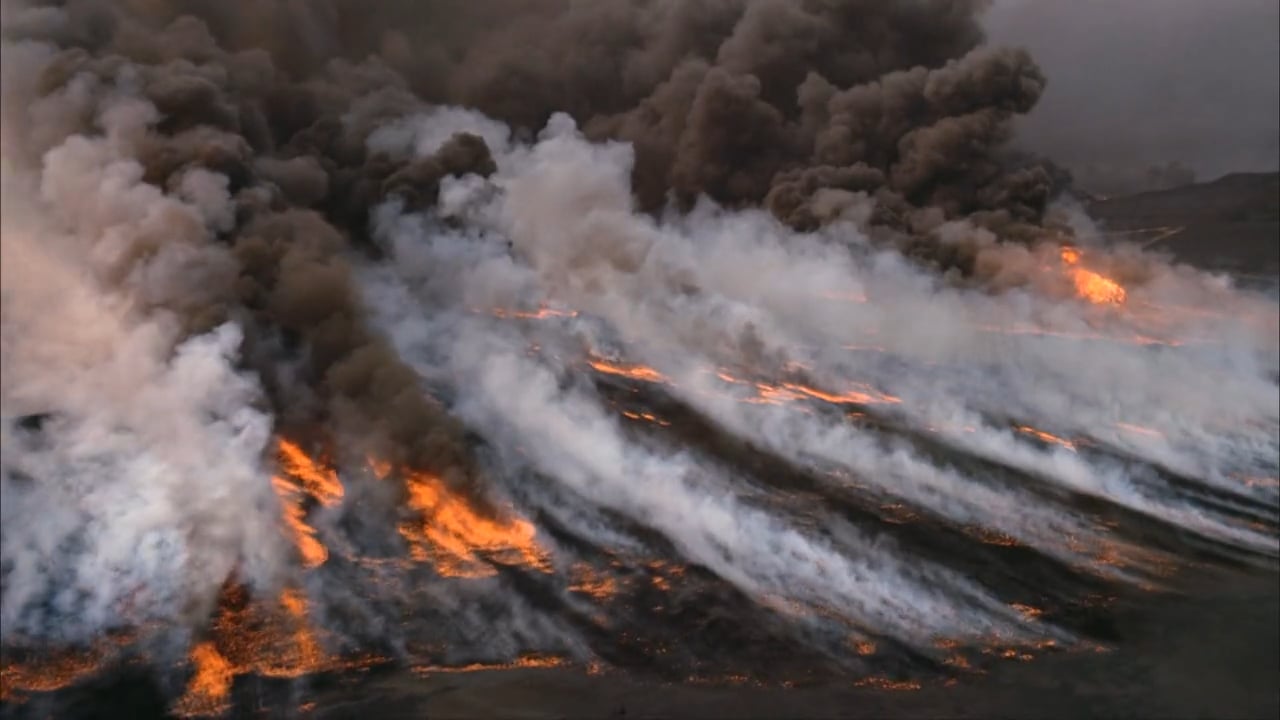 TV & Online Spots created by Hartley Schaub - Oasis Explainer 1 on Vimeo