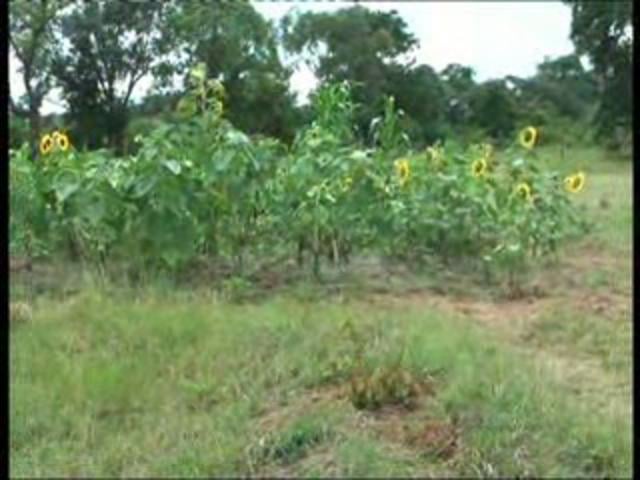 Crossroads Church, Kezi, Zimbabwe - March 2010 on Vimeo