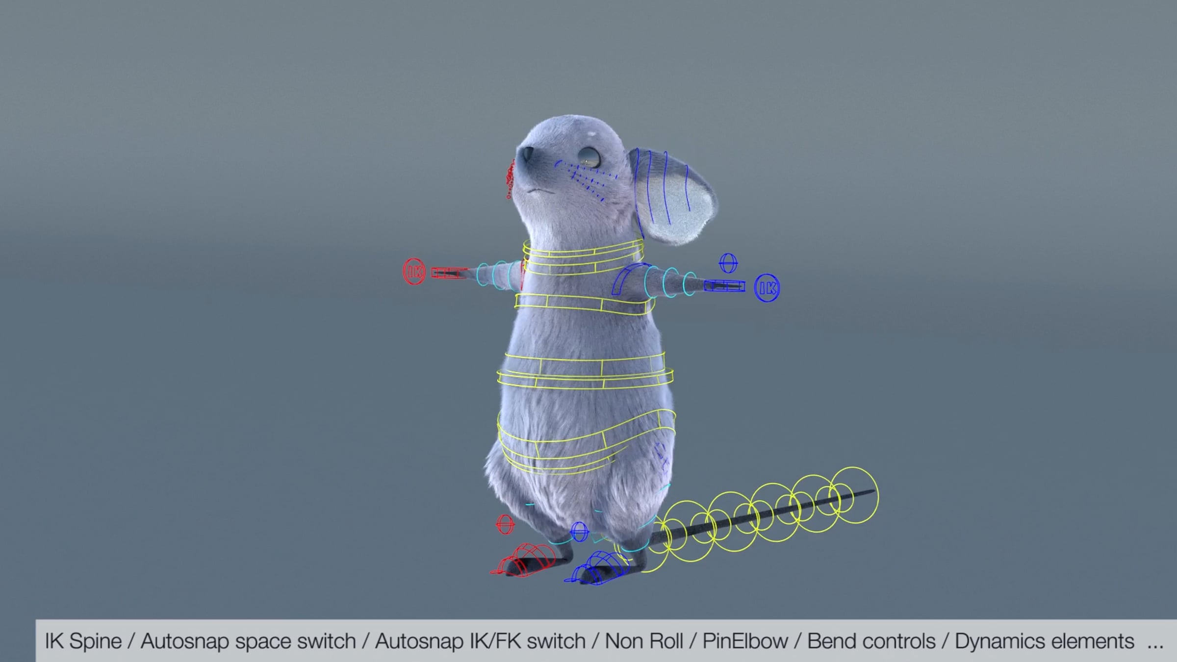 Mouse Rigging