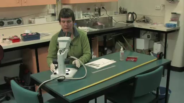 Learning the language of science — Science Learning Hub