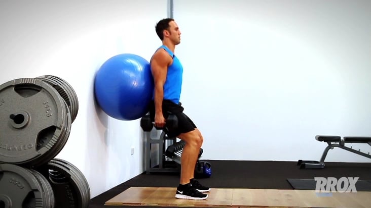 Dumbbell Swiss Ball Squats on Vimeo