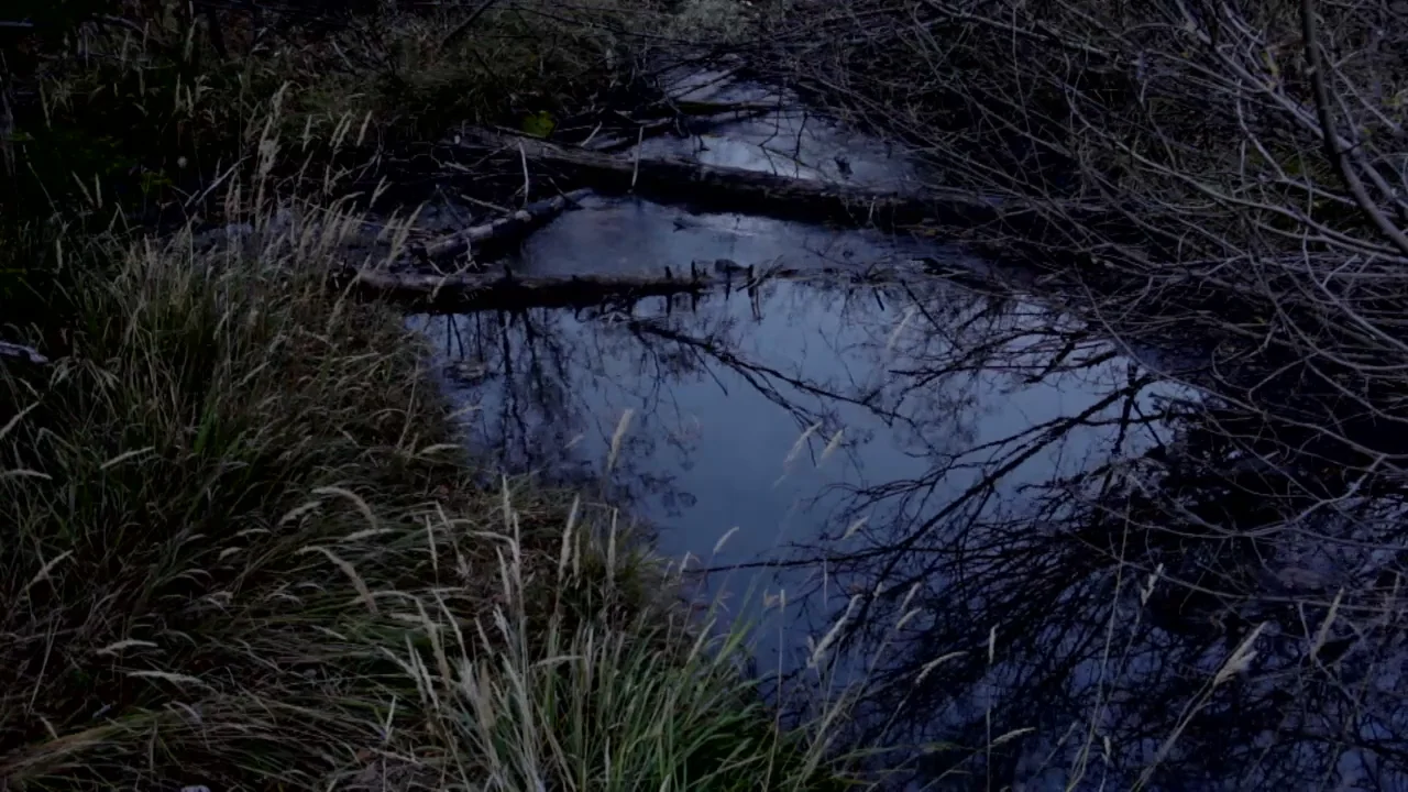 Feth Fiada on Vimeo