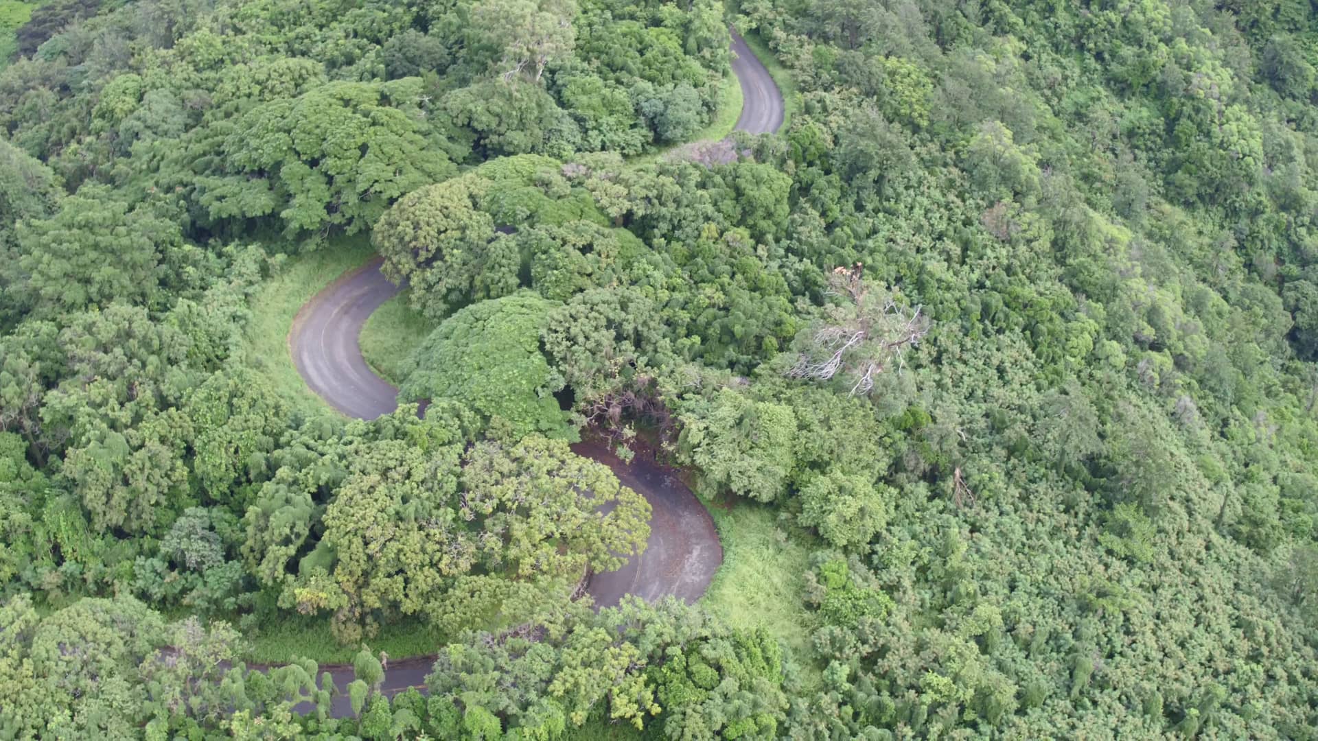 Tantalus Drive on Vimeo