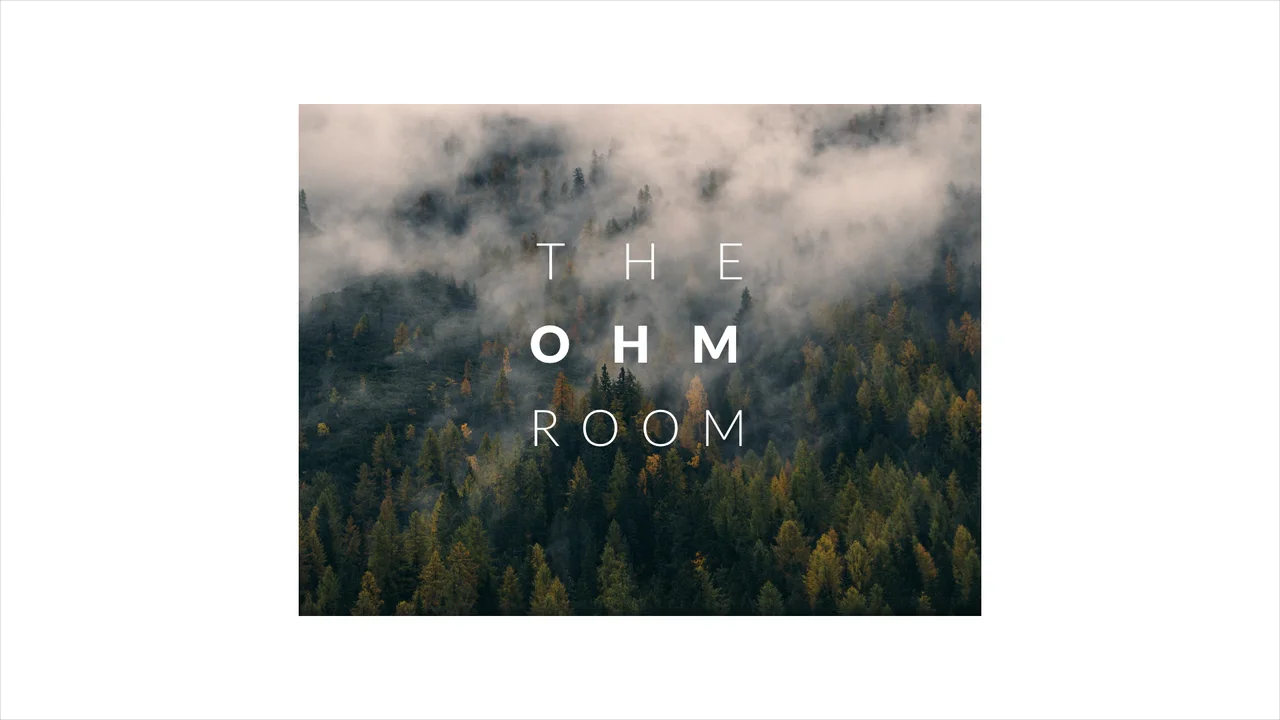THE OHM ROOM
