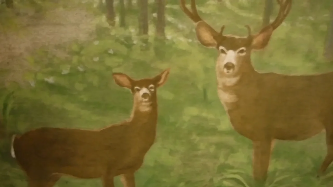 Patrick DeCoste, Deer Crossing, 2015. on Vimeo