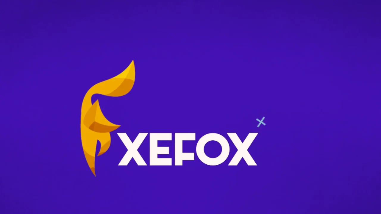 Xefox- Digital hunting agency on Vimeo