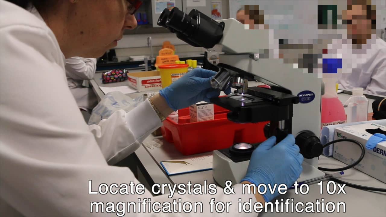 Urine sediment examination on Vimeo