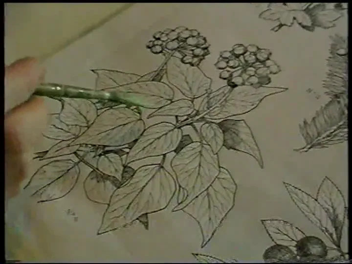 Tabitha Wade TV Showreel Granada Sky & BBC on Vimeo