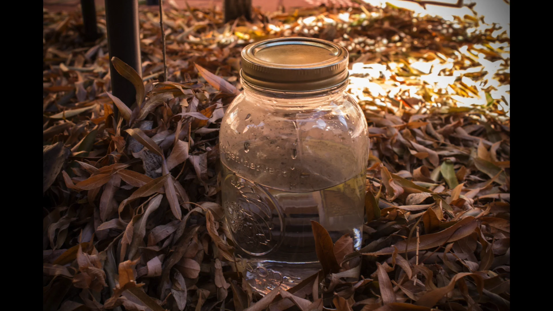 Professor Emily Davalos on Leaving NAU on Vimeo