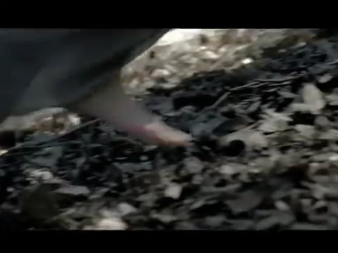 Alfa Romeo Giulietta - Uma Thurman -- Egg Films on Vimeo