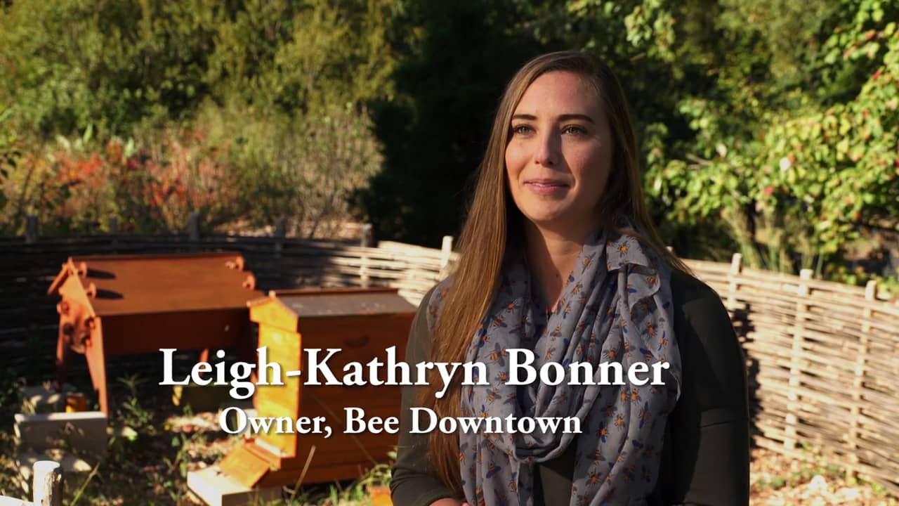 Leigh-Kathryn Bonner: Beekeeper on Vimeo
