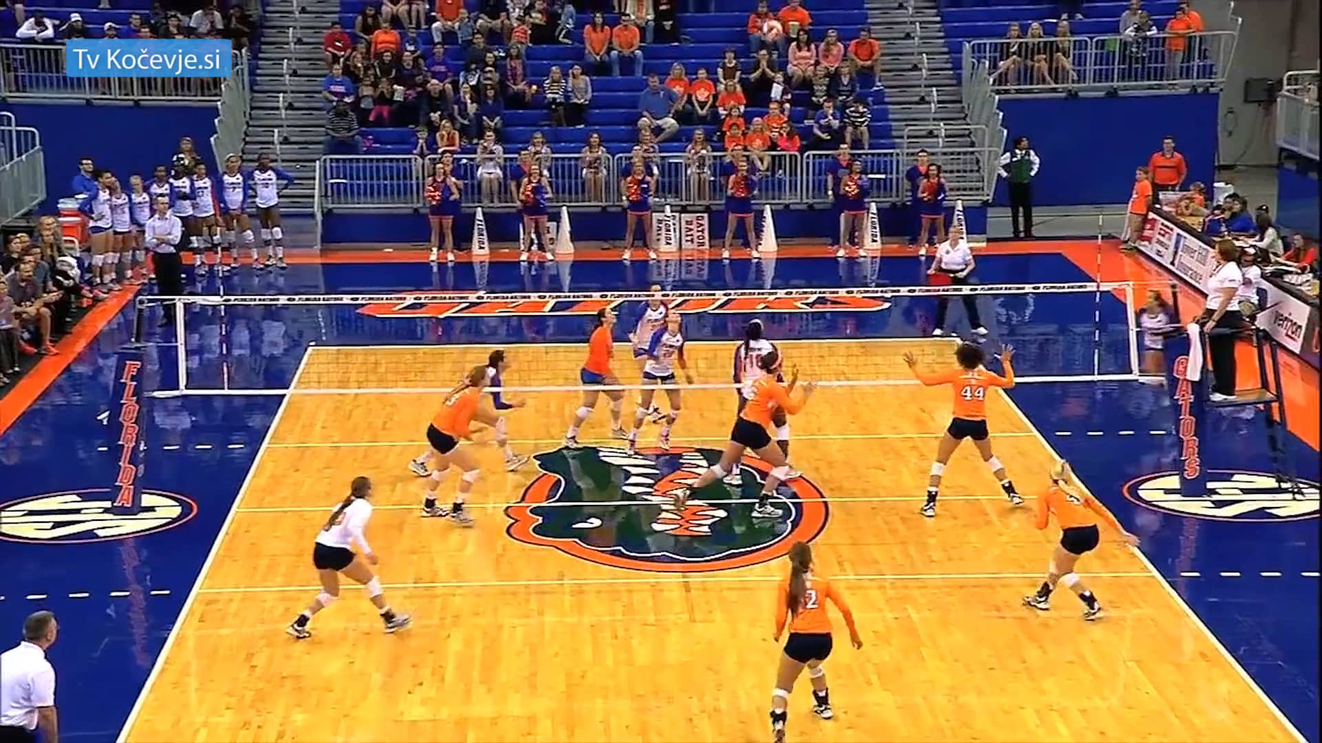 ŽIVA RECEK (297) on Vimeo