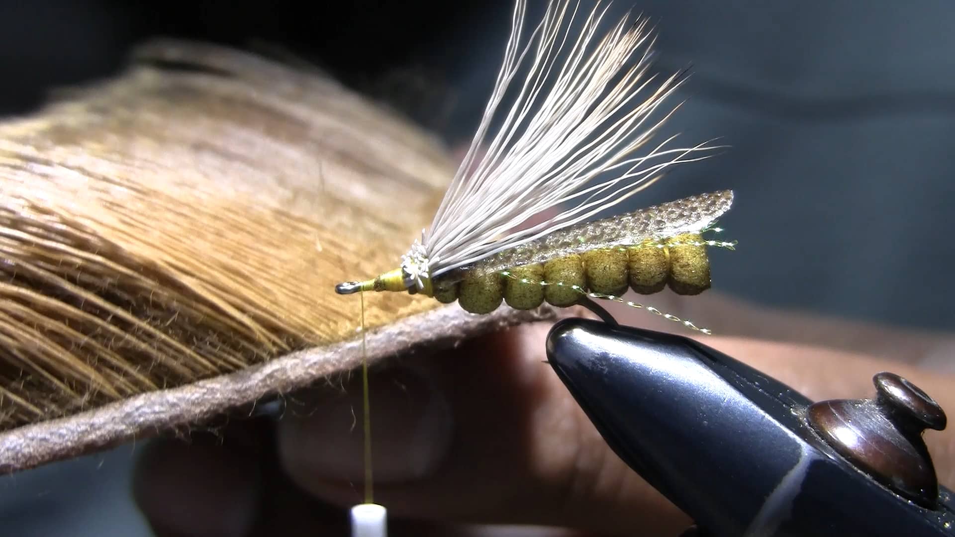 Rogue Foam Golden Stone Fly on Vimeo