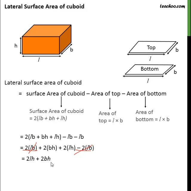 Lateral Surface Area Of A Cuboid