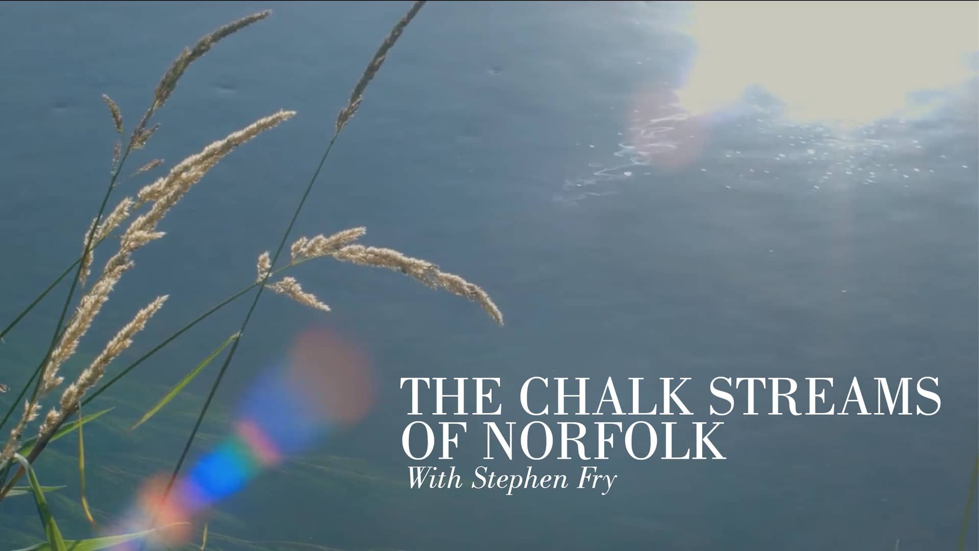 The Chalk Streams of Norfolk with Stephen Fry on Vimeo