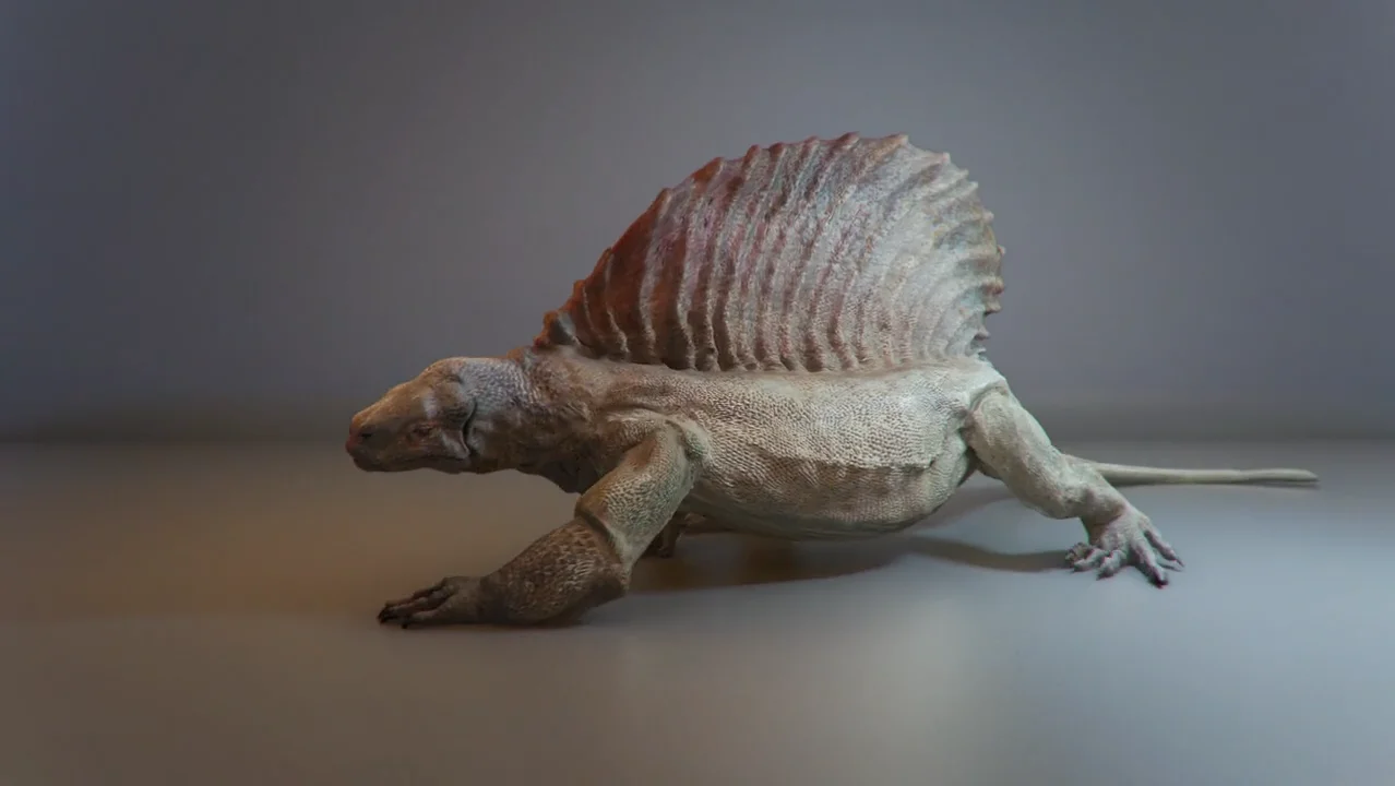 EDAPHOSAUR STUDY on Vimeo