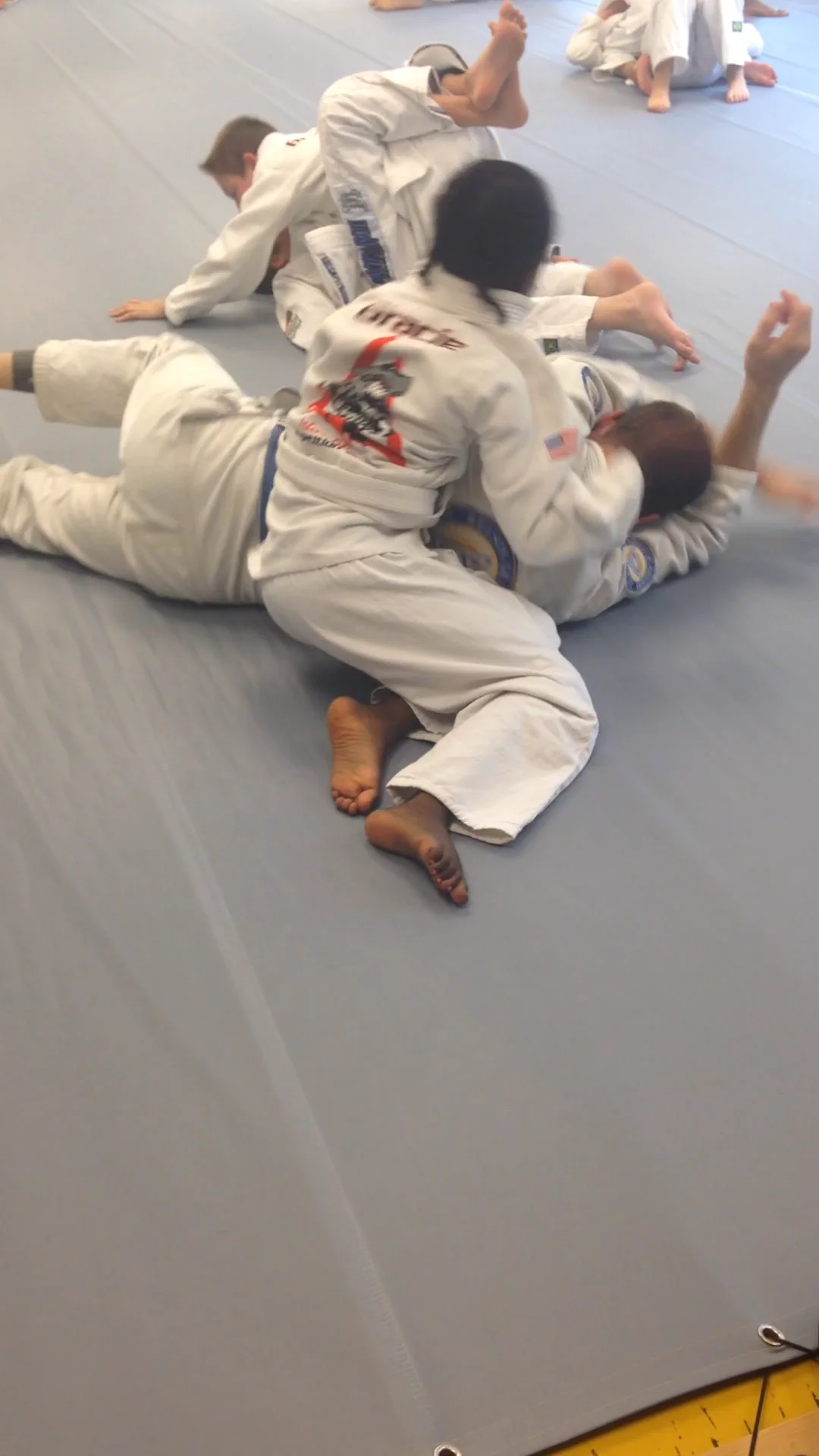 Lilly Bjj On Vimeo