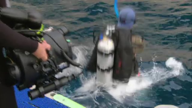 Sound in water — Science Learning Hub