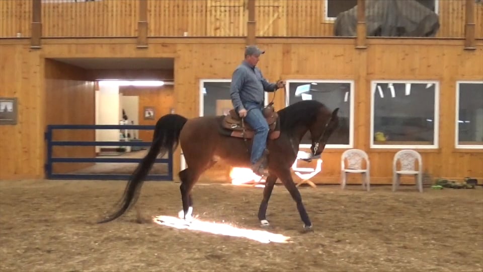 Markov Fame Dec 2015 on Vimeo