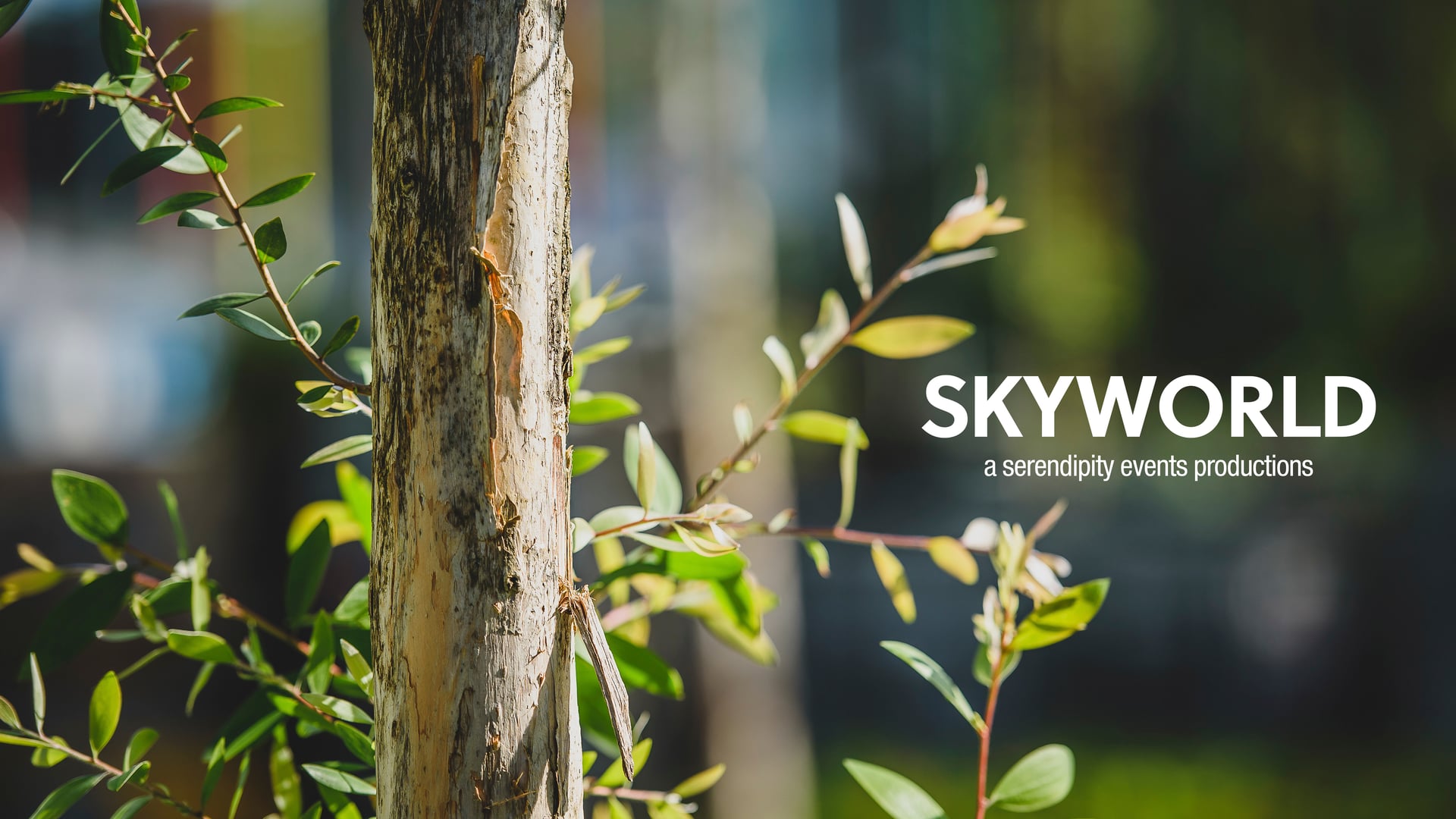 Official Opening of SkyWorld Property Gallery & Launch of Bennington ...