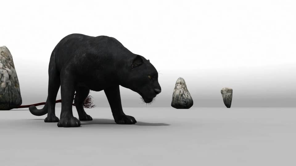 Panther Animation 2015 on Vimeo