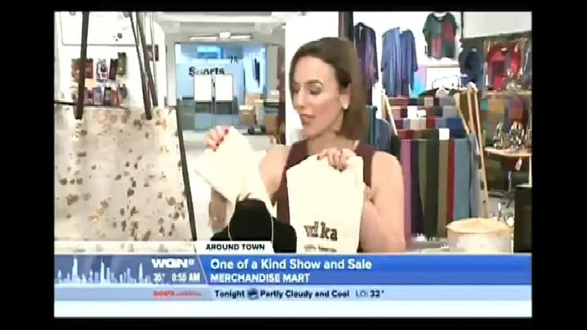 WGN, December 3, 2015, 8:55am on Vimeo