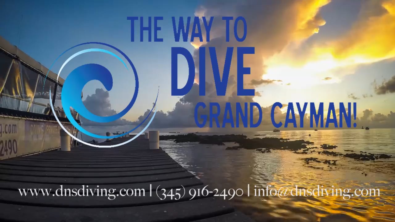 The WAY to Dive on Vimeo