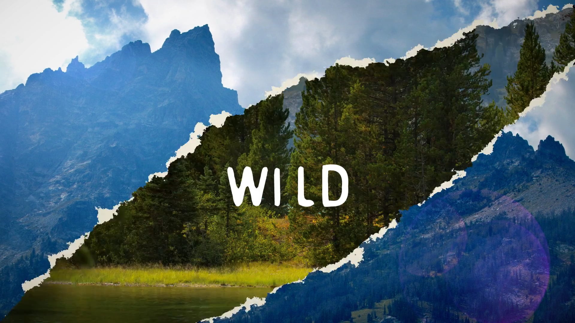 2016. Inspirations WILD on Vimeo