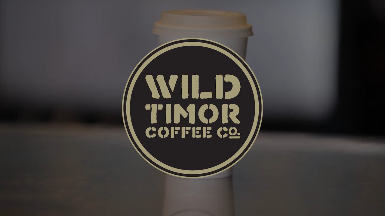 Wild Timor Coffee on Vimeo