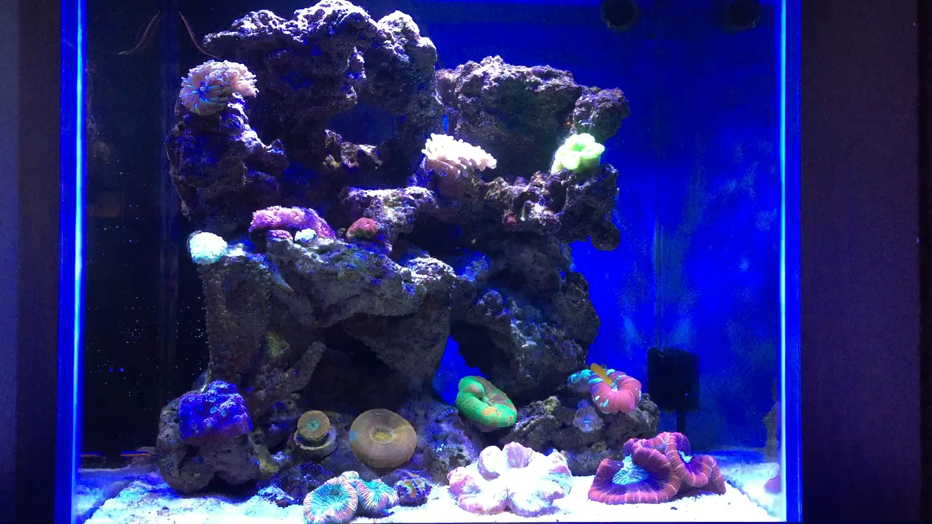 Coral box moon led 90 degrees lens on Vimeo