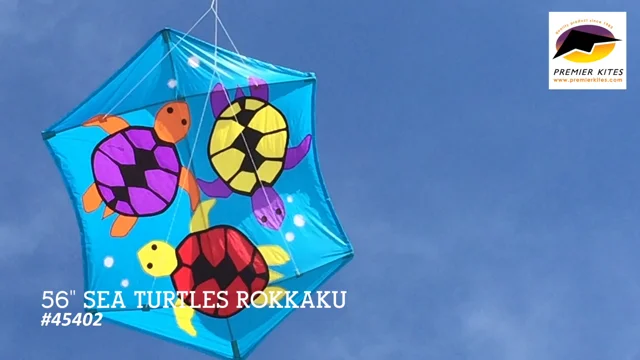 Rokkaku Kite