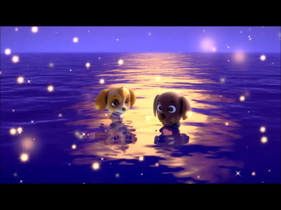 Alex Thorne Paw Patrol Zuma YEA 2016 Submission on Vimeo