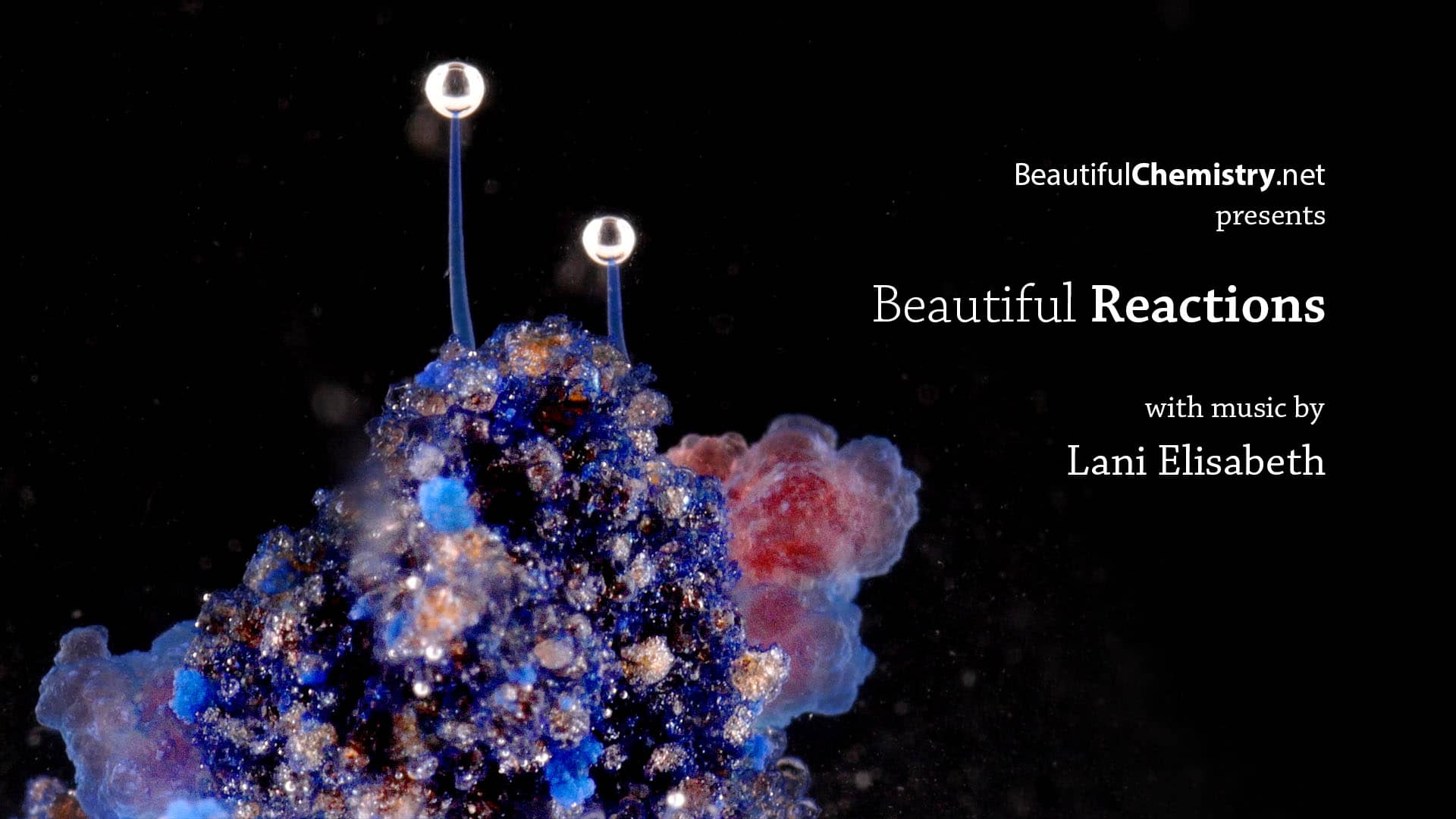 Beautiful Reactions on Vimeo