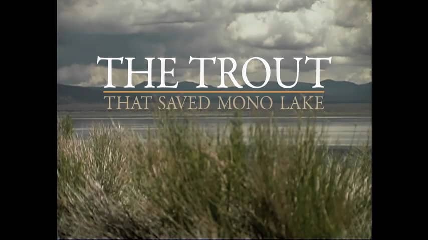 Short Film On Vimeo