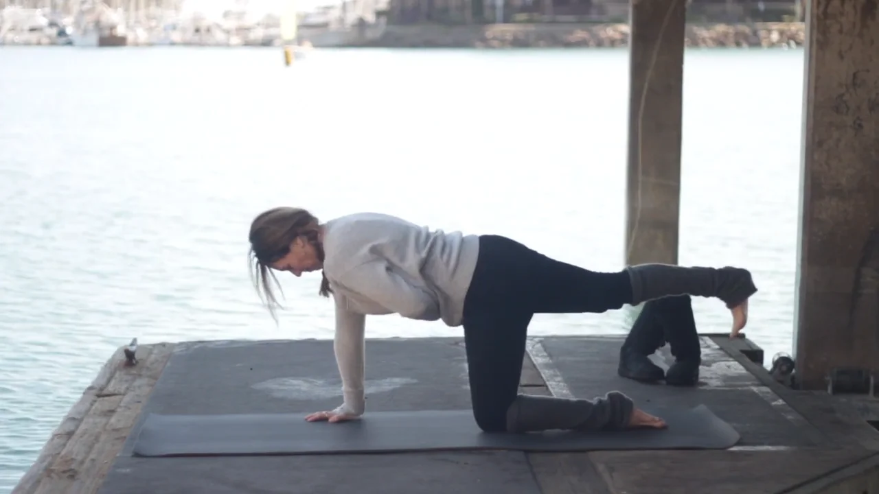 Yoga For Beginners 30 Day Challenge Day 3 With Lesley Fightmaster on Vimeo