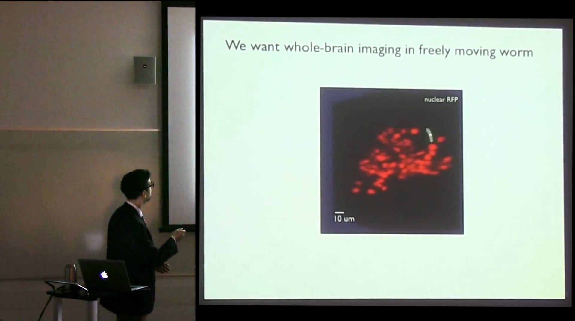 Stanford Neuroscience Institute Seminar: Whole-brain neural dynamics ...