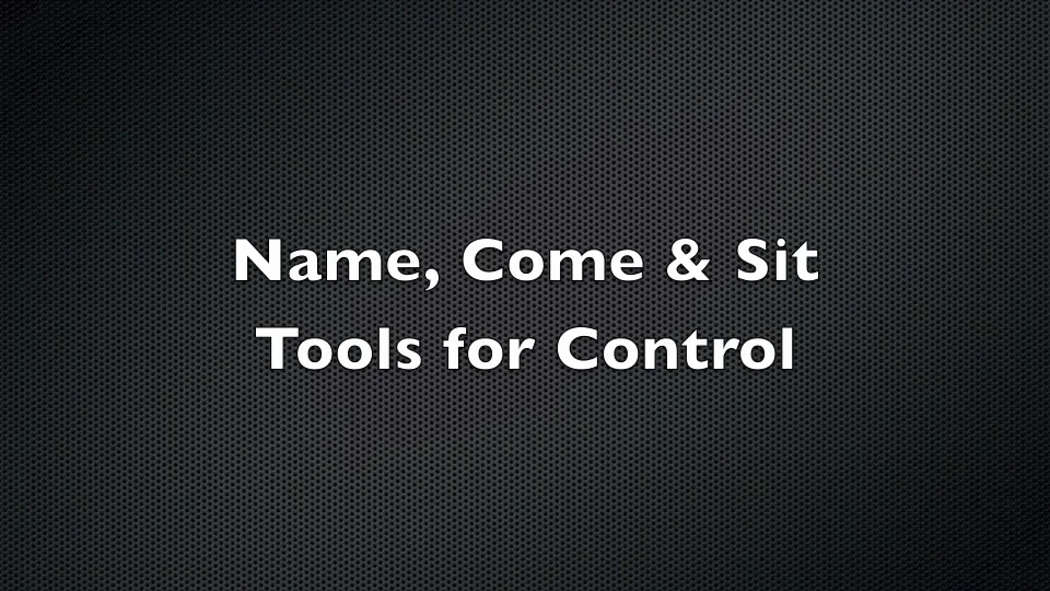 Name, Come and Sit: Tools for Control on Vimeo