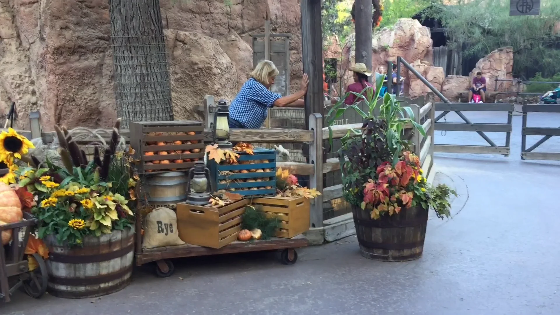 Running Of The Goats At Disneyland