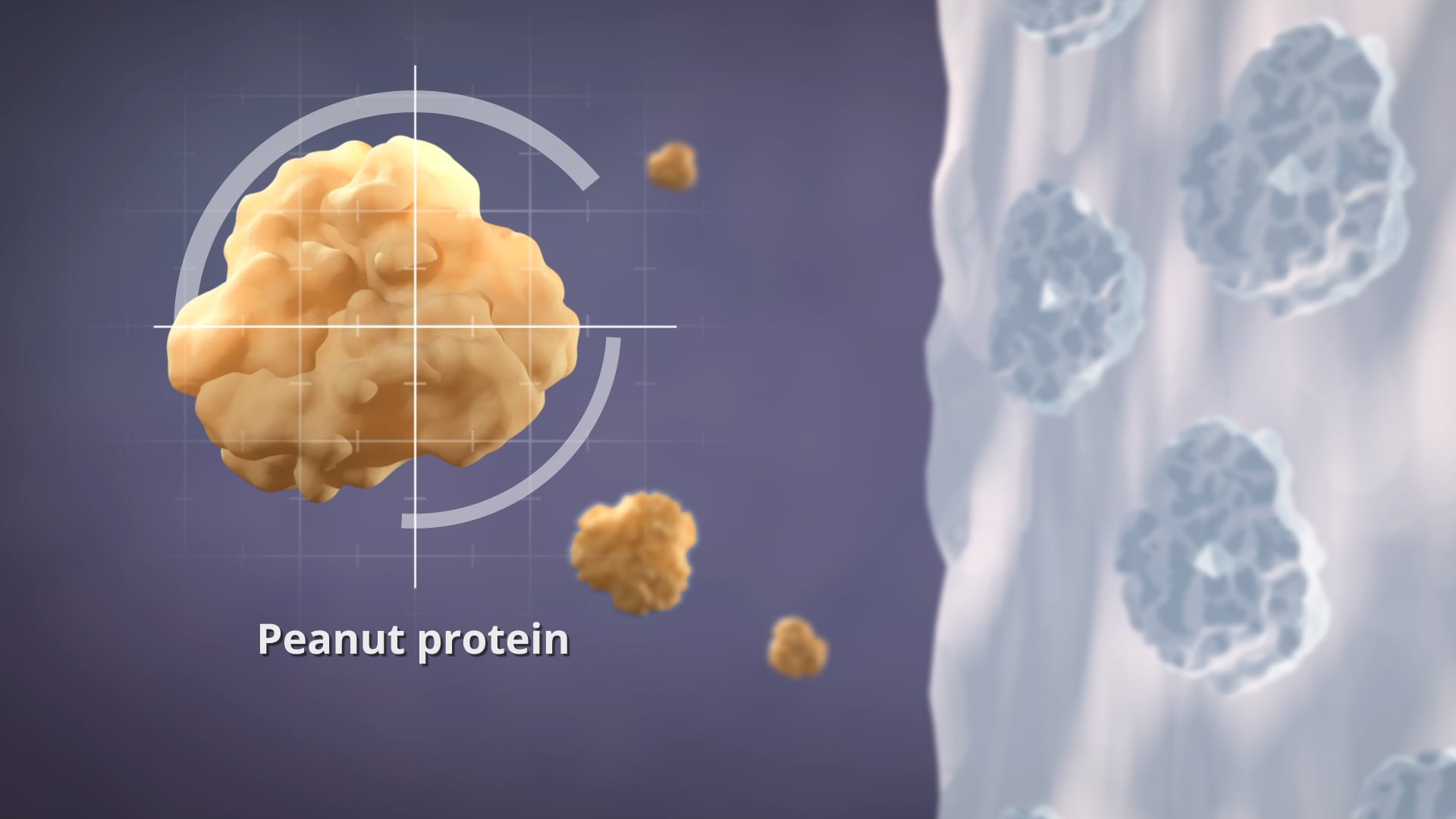 Allergy Amulet - Molecularly Imprinted Polymer Technology for Point of ...