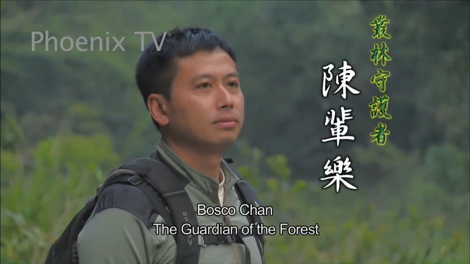 Bosco Chan - The Guardian of the Forest - ENG 45’ on Vimeo